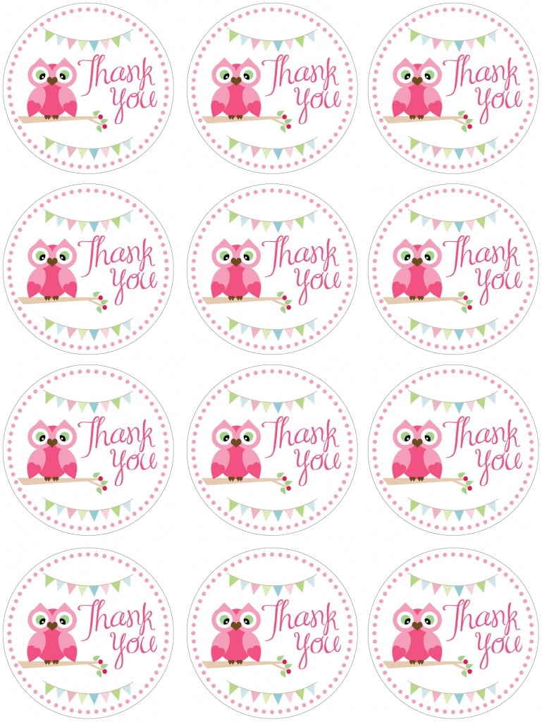 Owl Birthday Party with FREE Printables - How to Nest for Less™
