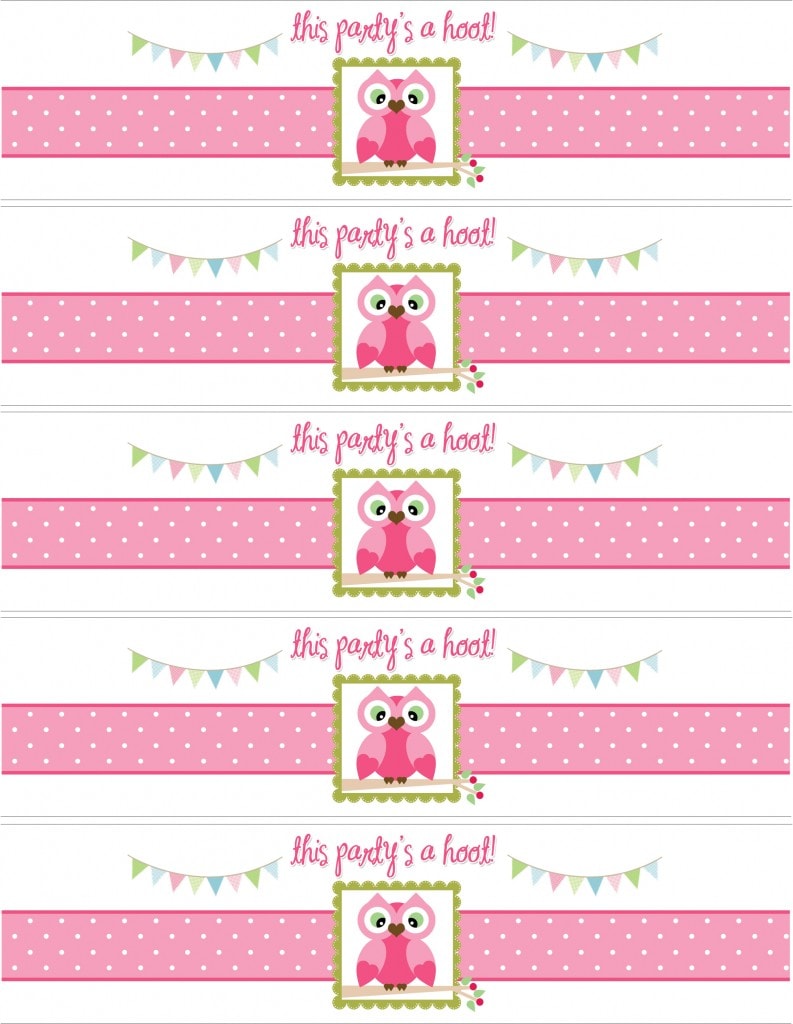 Owl Birthday Party with FREE Printables - How to Nest for Less™