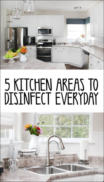 5 Kitchen Areas to Disinfect Everyday - How to Nest for Less™